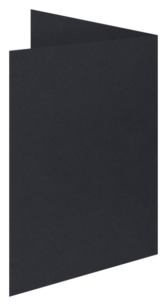 Foil Stamped Presentation Folders, Custom 2-Pocket Foil Folder Printing