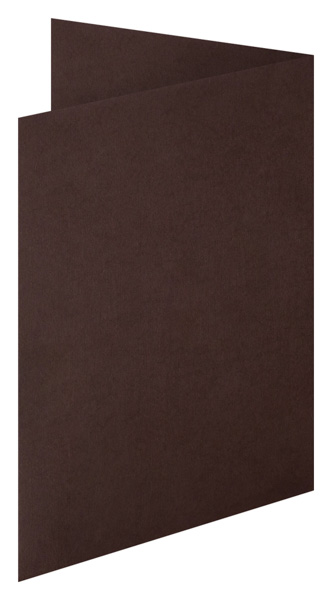 Foil Stamped Presentation Folders, Custom 2-Pocket Foil Folder Printing