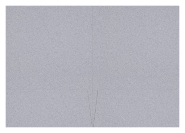 Foil Stamped Presentation Folders, Custom 2-Pocket Foil Folder Printing